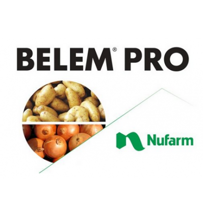 Belem Pro - Casa Mário Machado