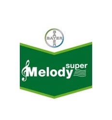 Melody Super - Casa Mário Machado